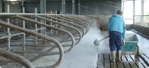 Other Products - Ardfert Quarry